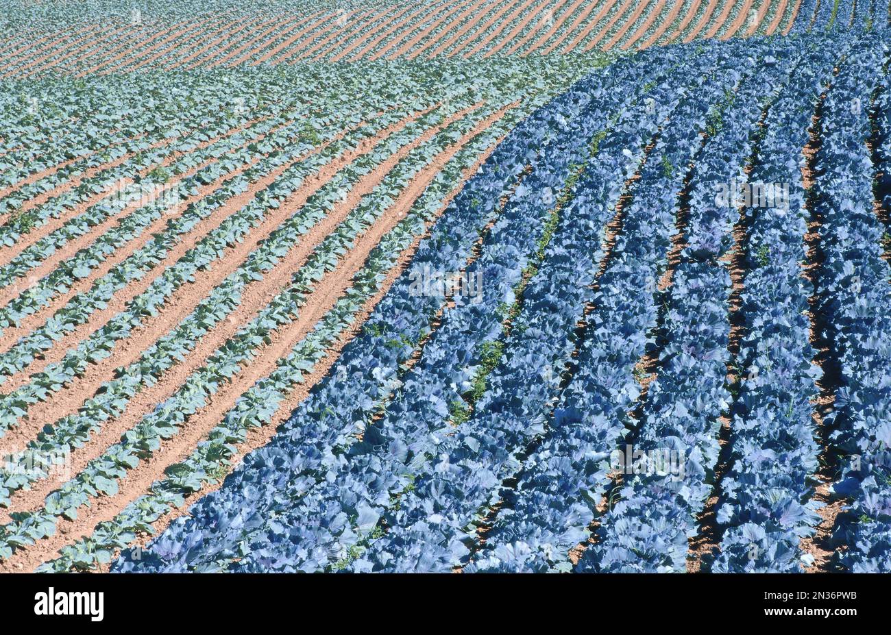 Black land nova scotia hi-res stock photography and images - Alamy