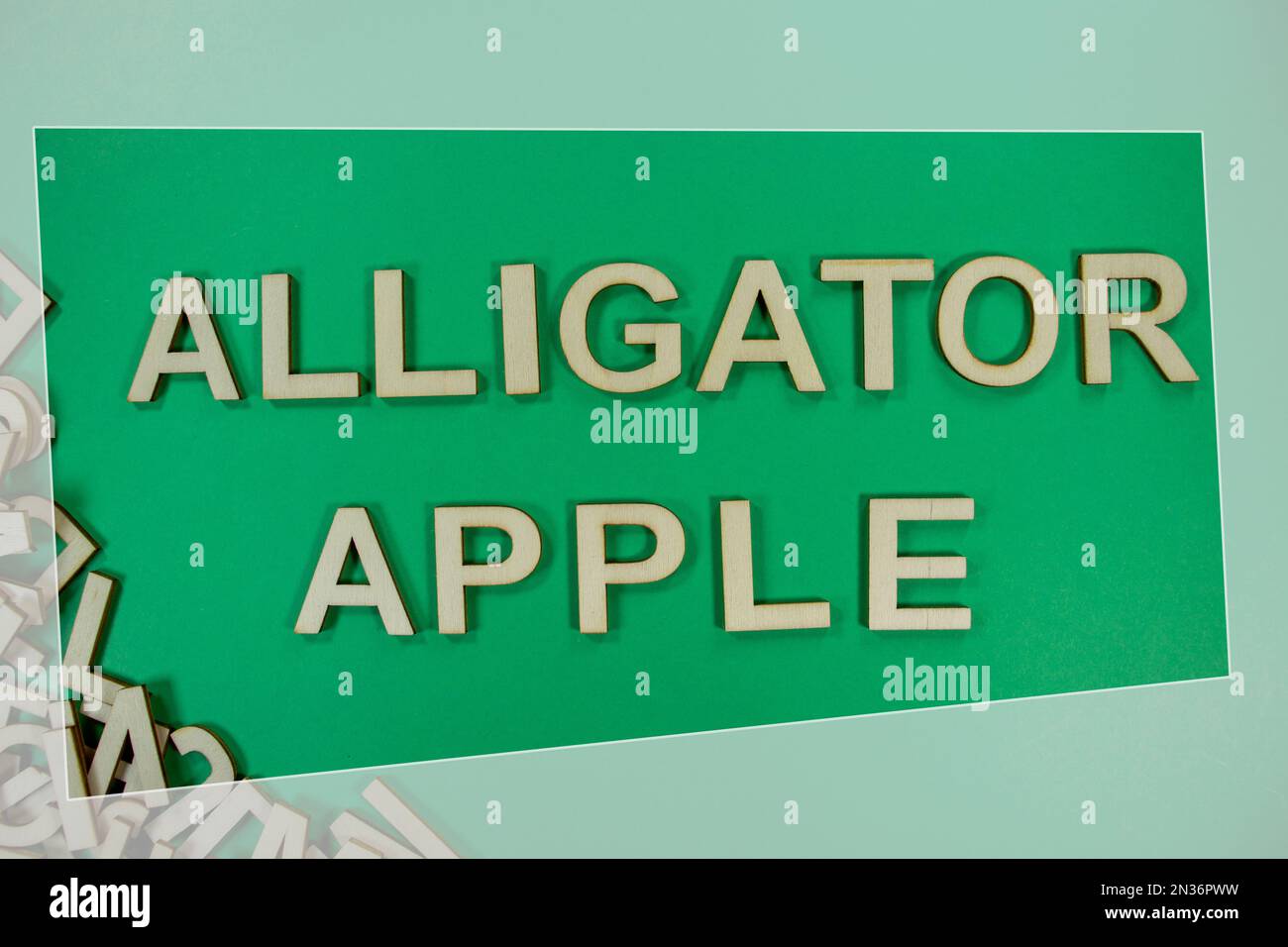 ALLIGATOR APPLE fruit in wooden English language capital letters ...
