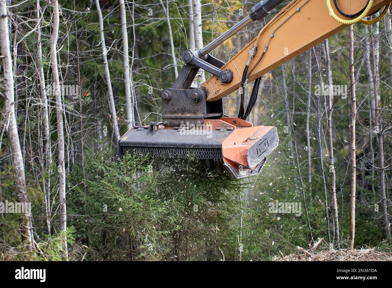 Mulcher masticator hi-res stock photography and images - Alamy