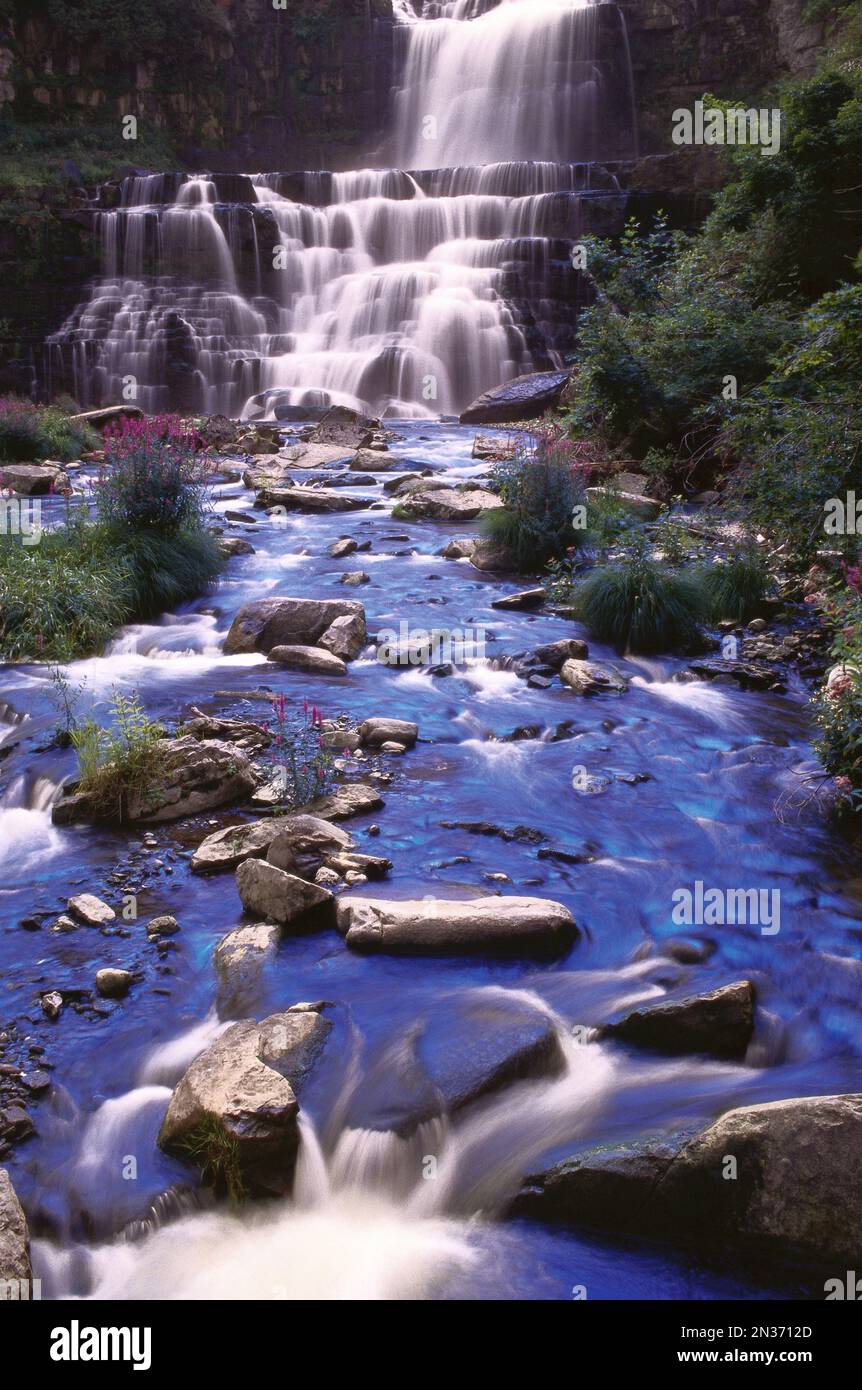 Chittenango Falls, Chittenango Falls State Park, New York, USA Stock ...