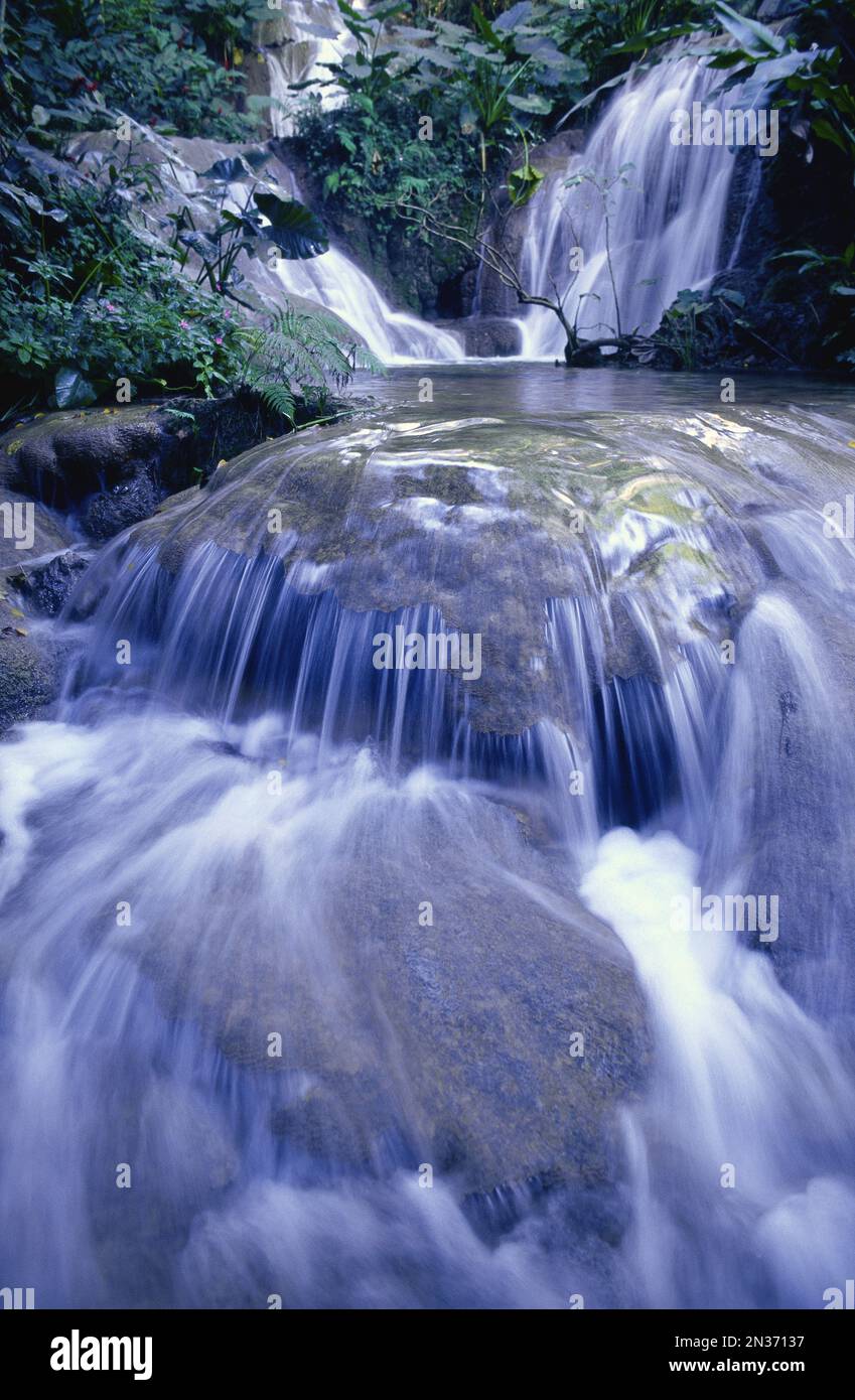 Jamaica West Indies Rainfall at Gladys Burgess blog
