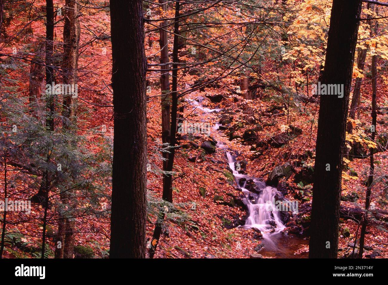 Waterfall in Autumn, Gatineau Park, Quebec, Canada Stock Photo - Alamy