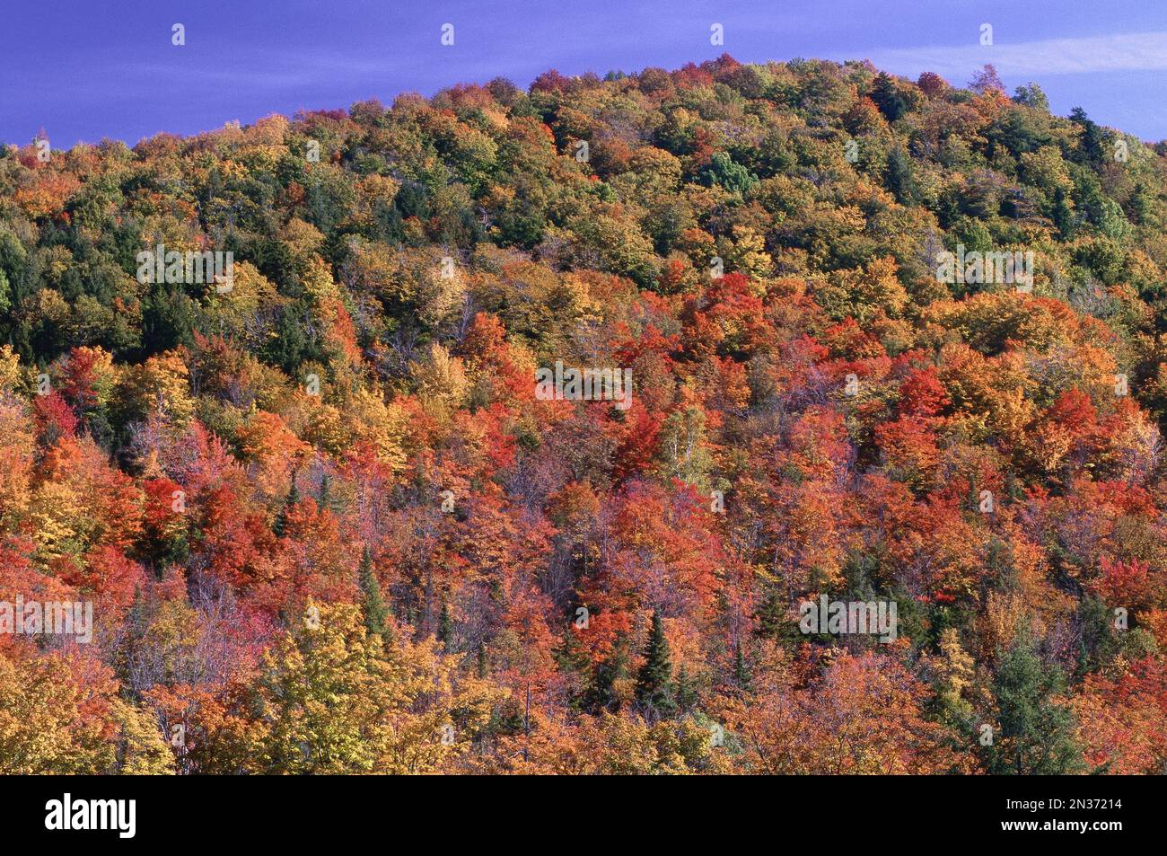 Autumn Scenic, Stowe, Vermont, USA Stock Photo - Alamy
