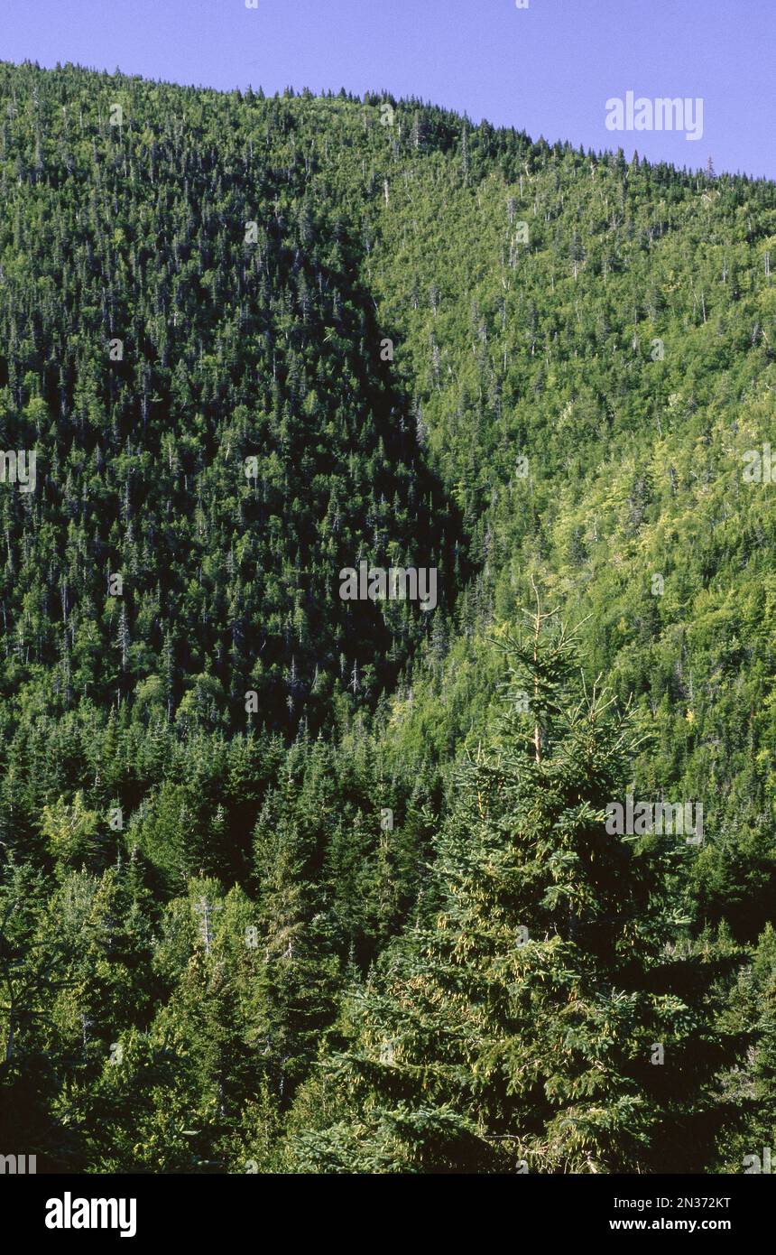 Mountain near Perce, Quebec, Canada Stock Photo - Alamy