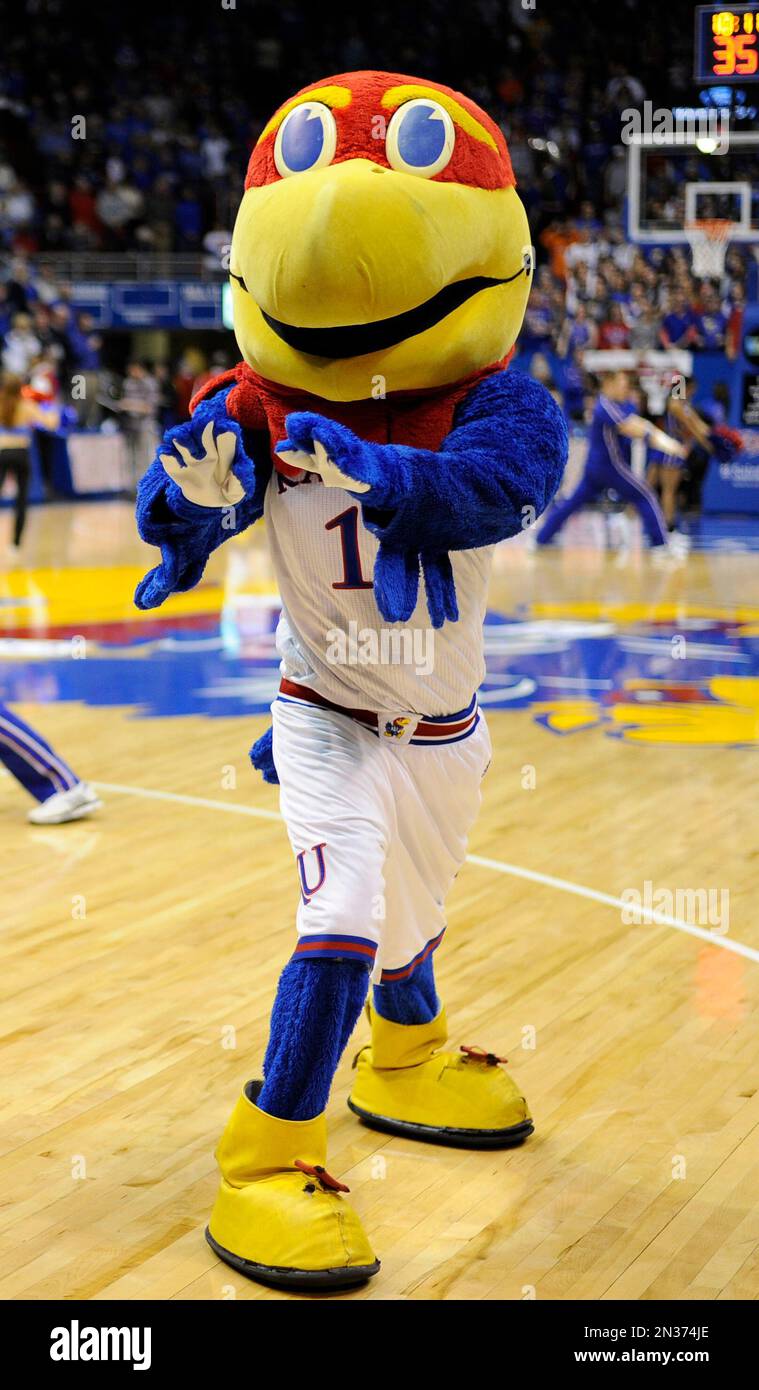 Big Jay the Kansas mascot performs during an NCAA college basketball ...