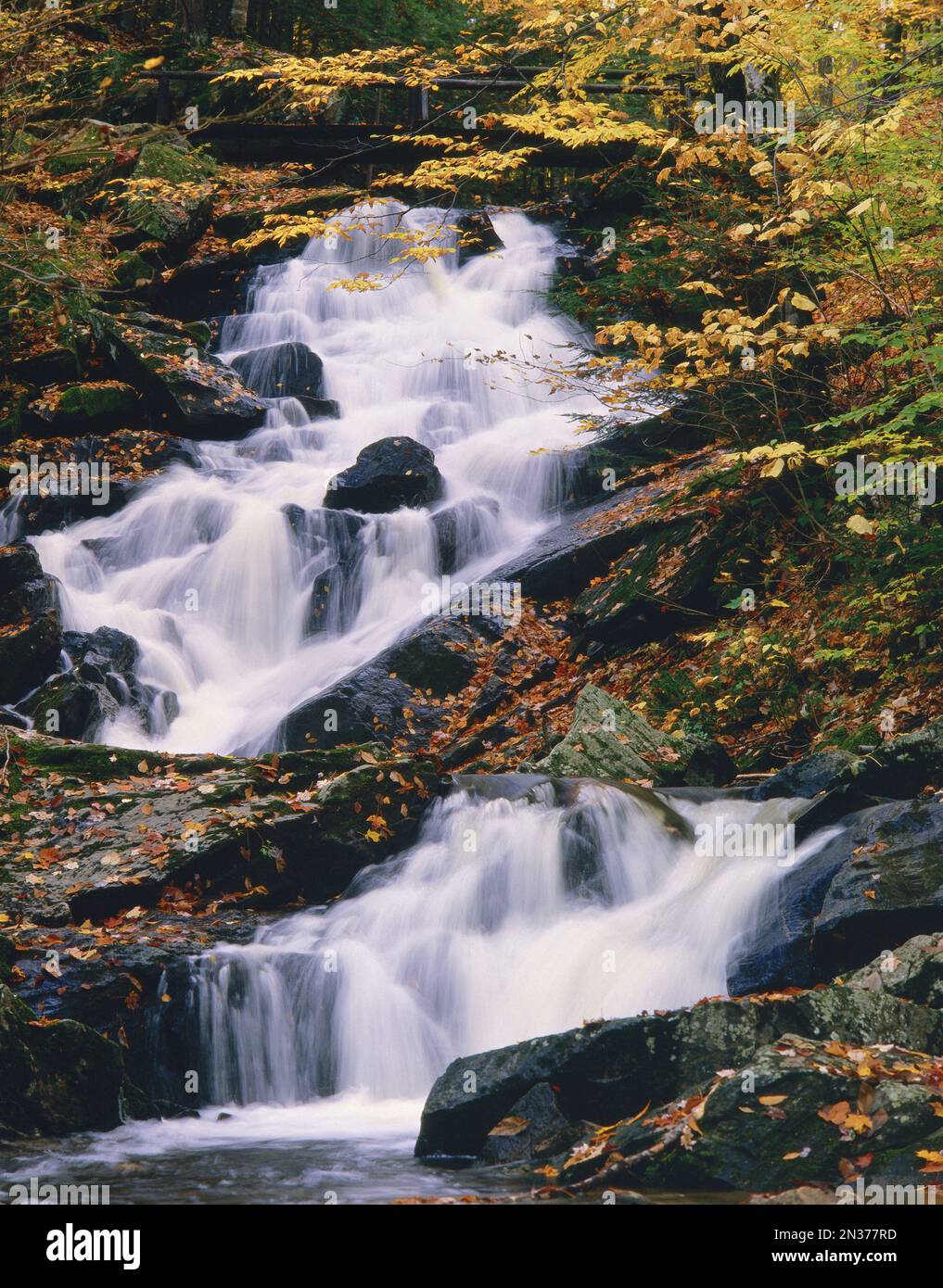 Waterfall, Gatineau Park, Quebec, Canada Stock Photo - Alamy