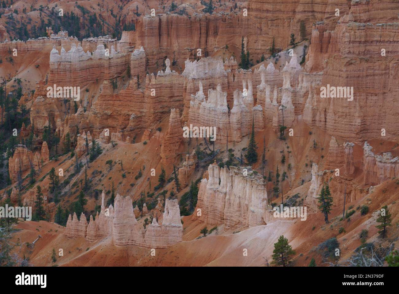 The natural beauty of Bryce National Park is breathtaking Stock Photo ...