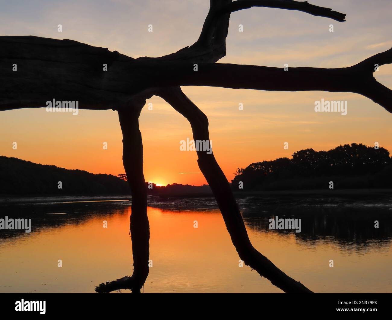 bright orange sunrise through the branches of a tree over the River ...