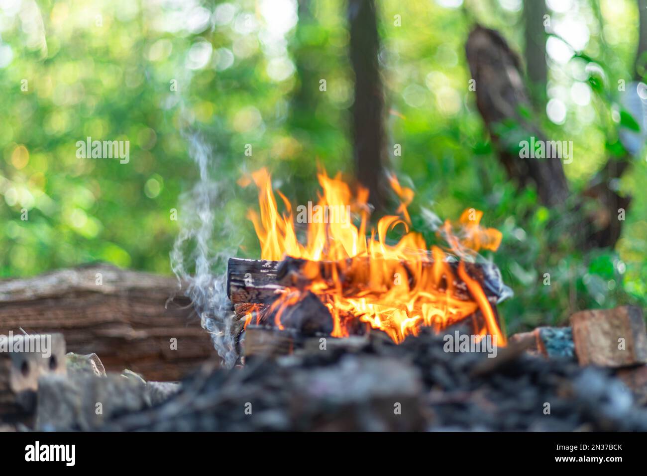 Bonfire or campfire. Orange flame of a fire at nature background Stock ...