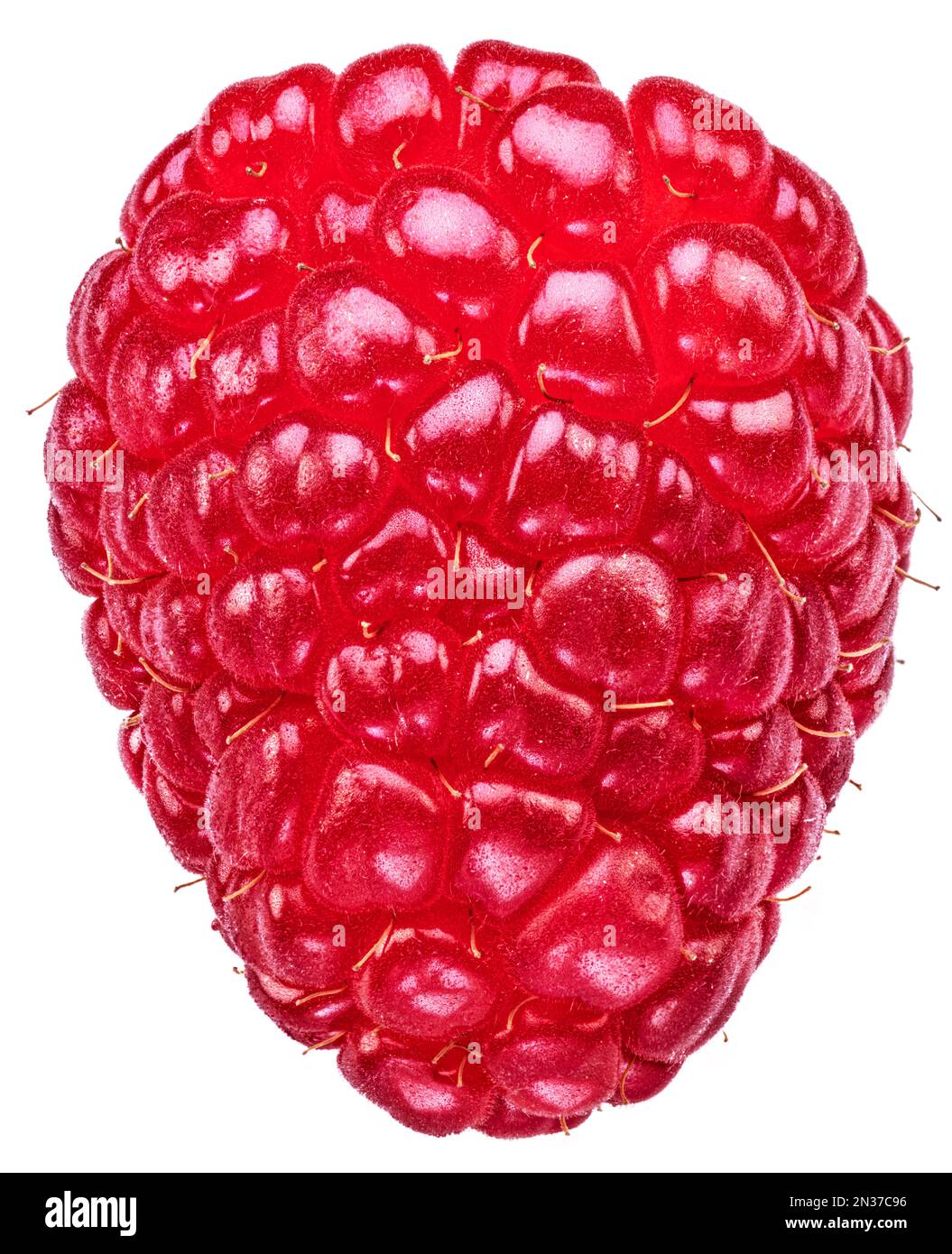 One raspberry fruit isolated on white background Stock Photo - Alamy