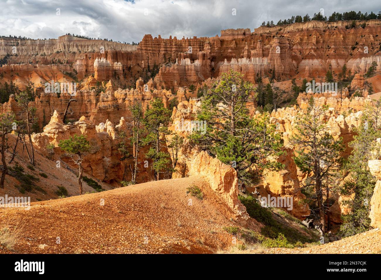 The natural beauty of Bryce National Park is breathtaking Stock Photo ...