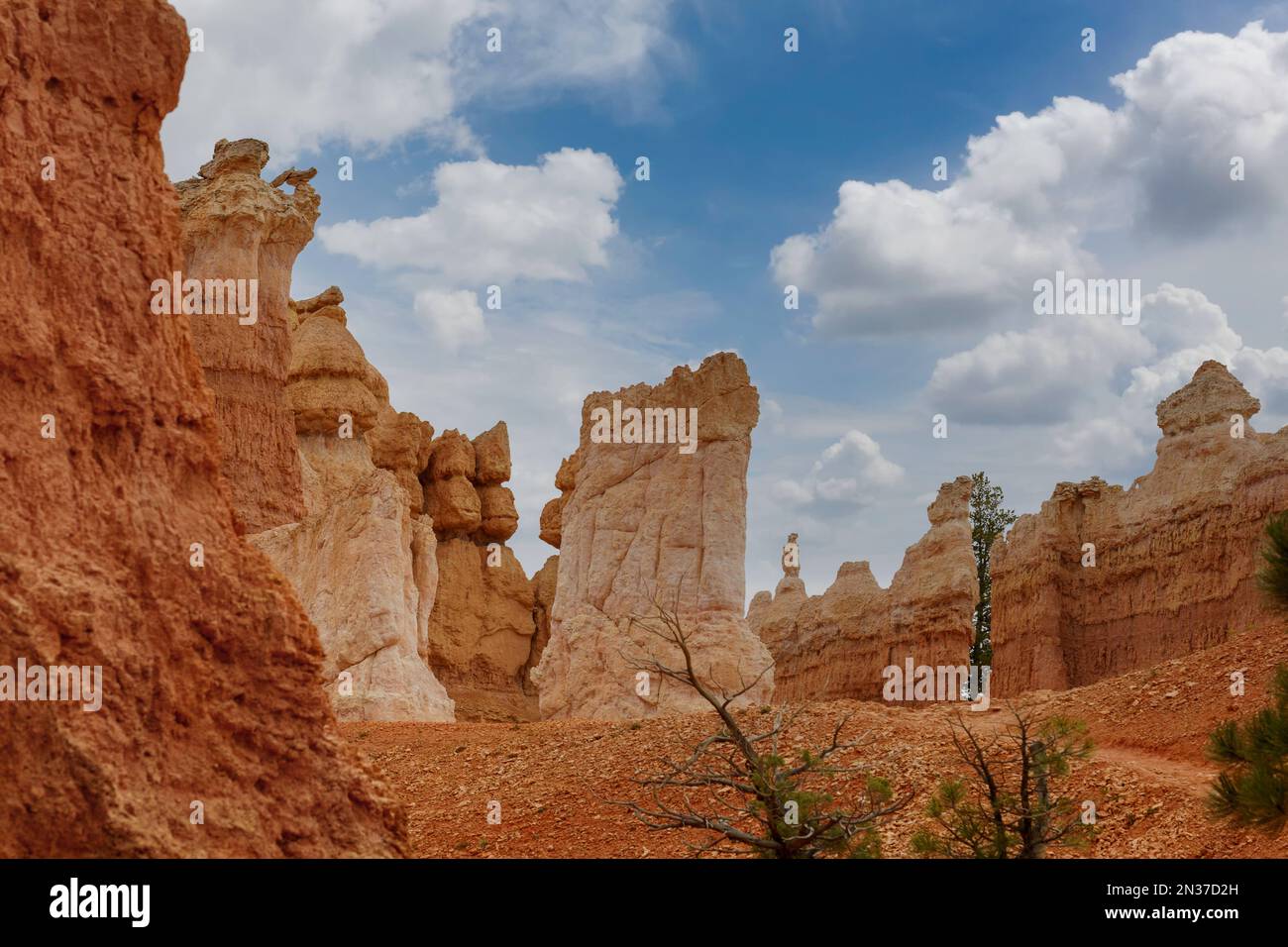 Three Monkeys at Bryce Canyon National Park Stock Photo - Alamy