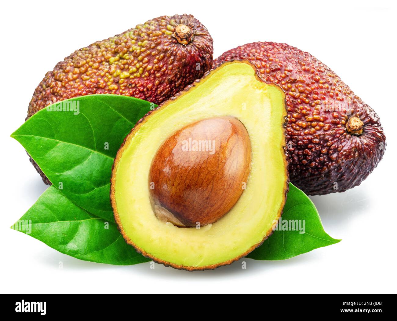 Hass avocado fruits with leaves isolated on white background Stock ...