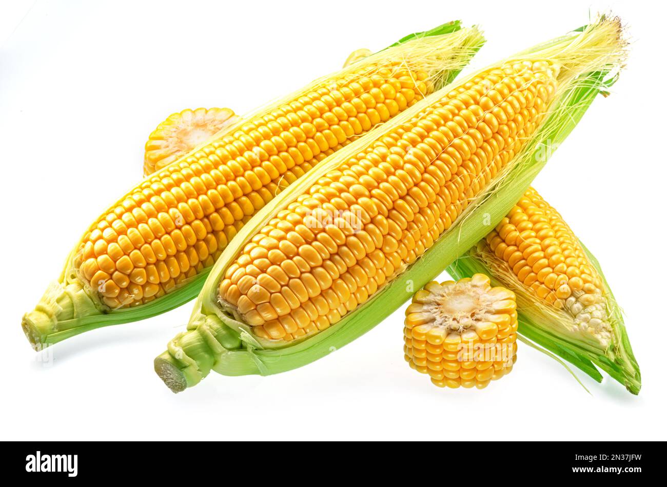 Maize cobs or corn cobs isolated on white background Stock Photo - Alamy
