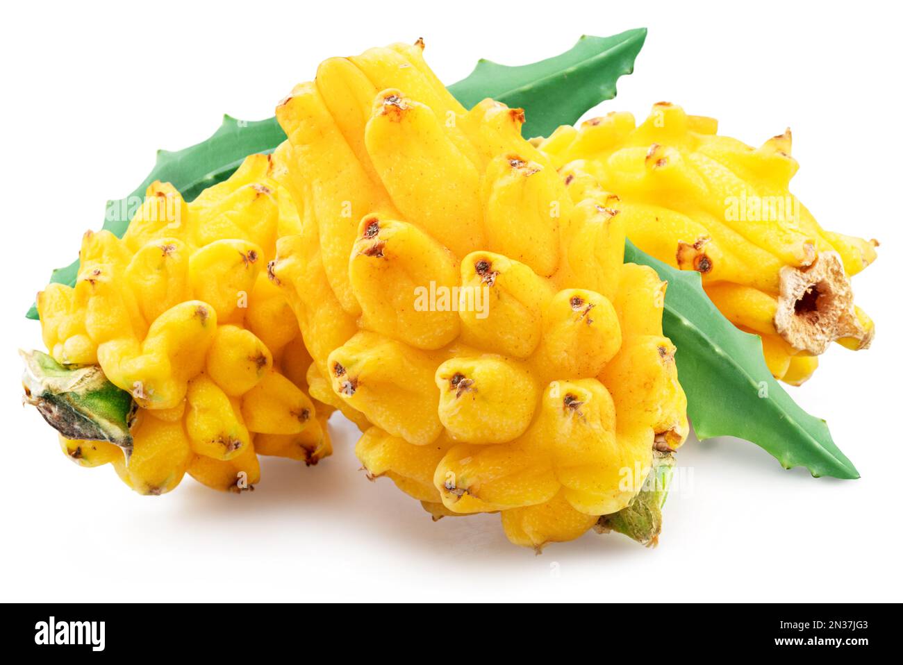 Yellow dragon fruits with green leaves isolated on white background ...