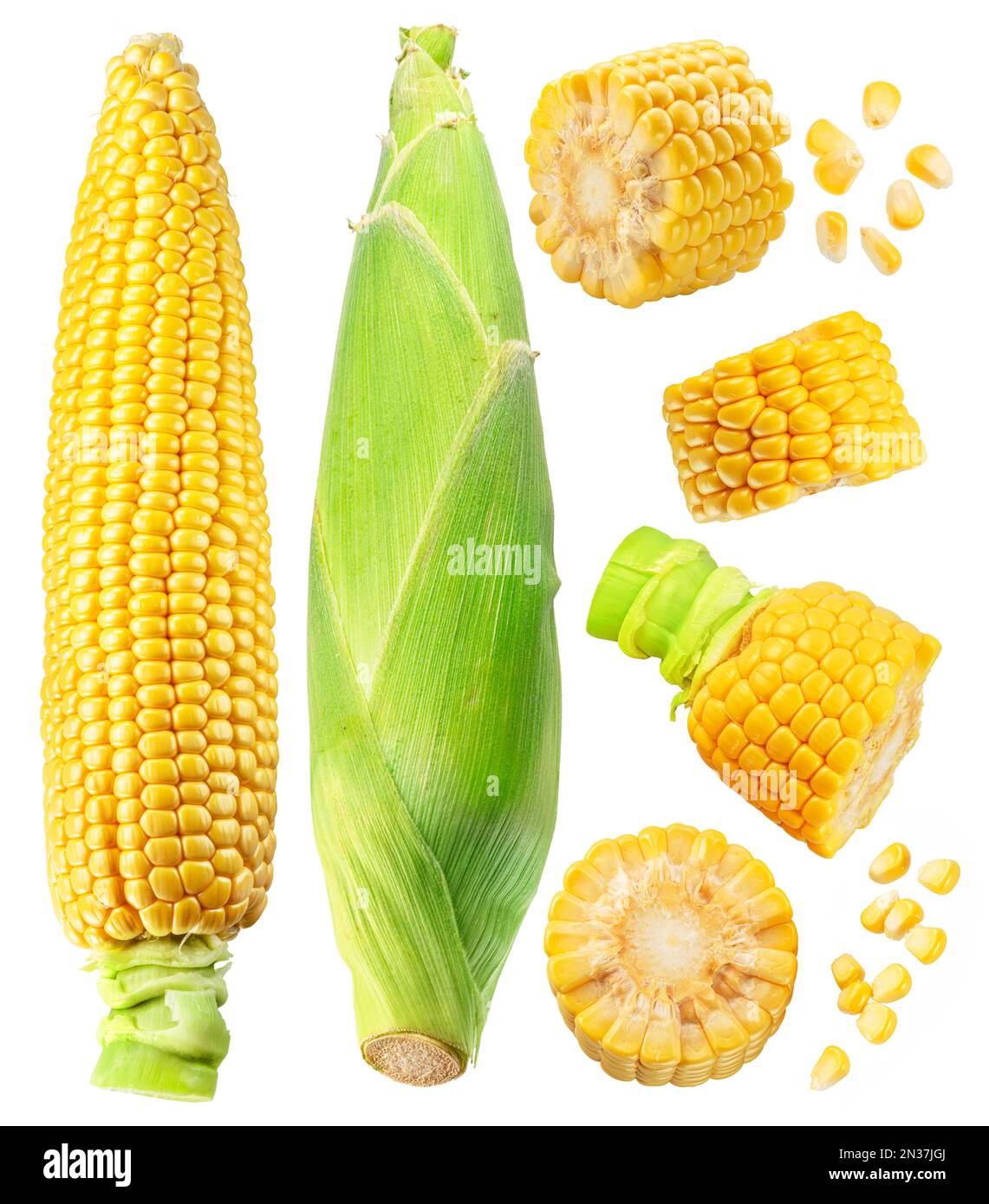 Maize cob or corn cob and corn seeds close up. File contains clipping ...