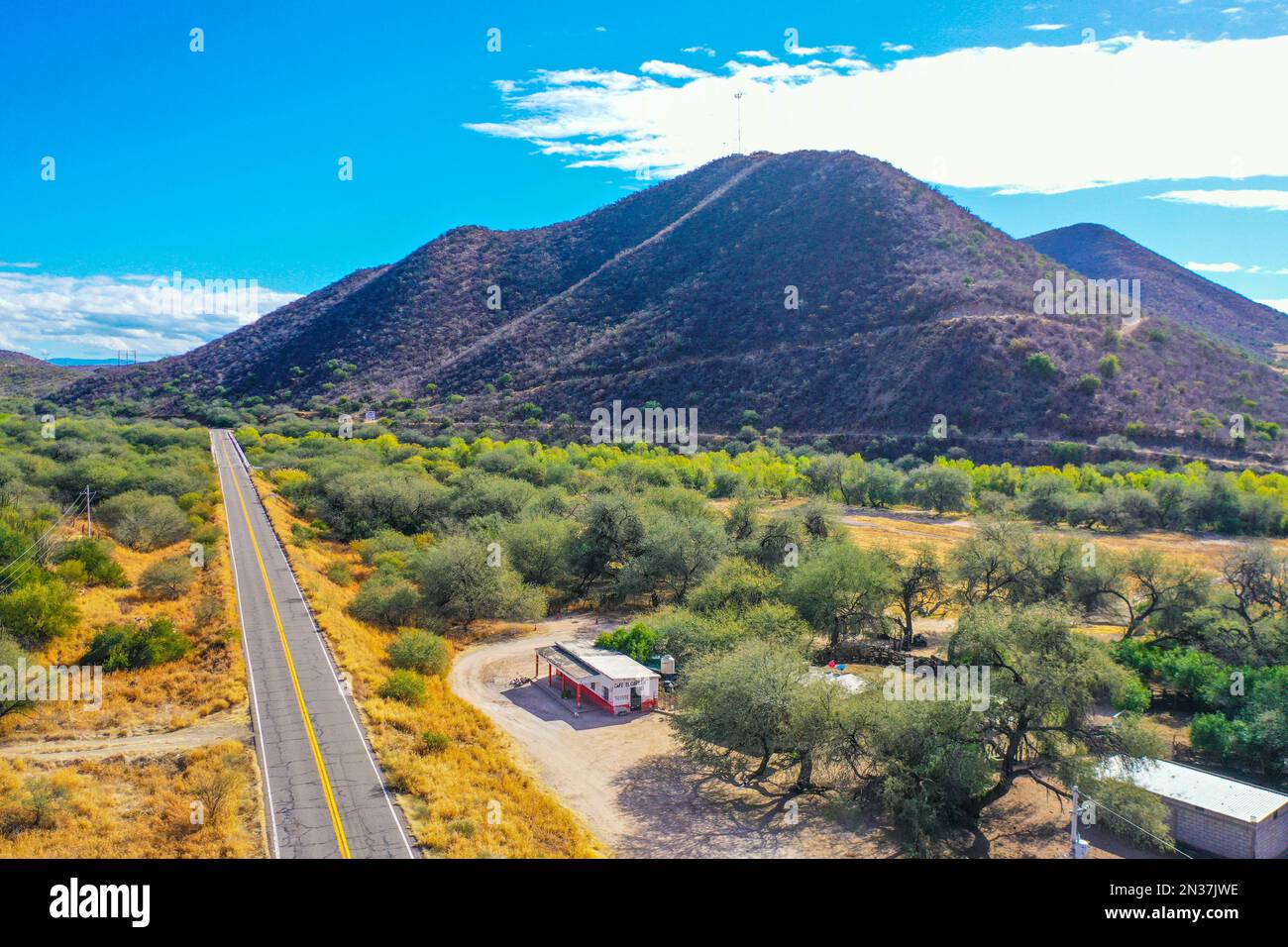 Biodiversidad de mexico hi-res stock photography and images - Alamy