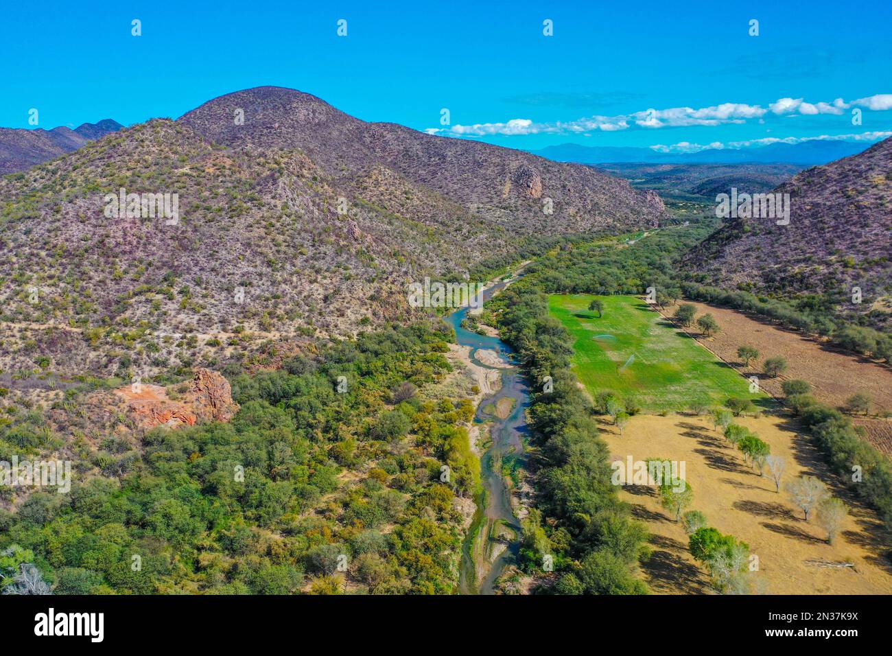 Biodiversidad de mexico hi-res stock photography and images - Alamy