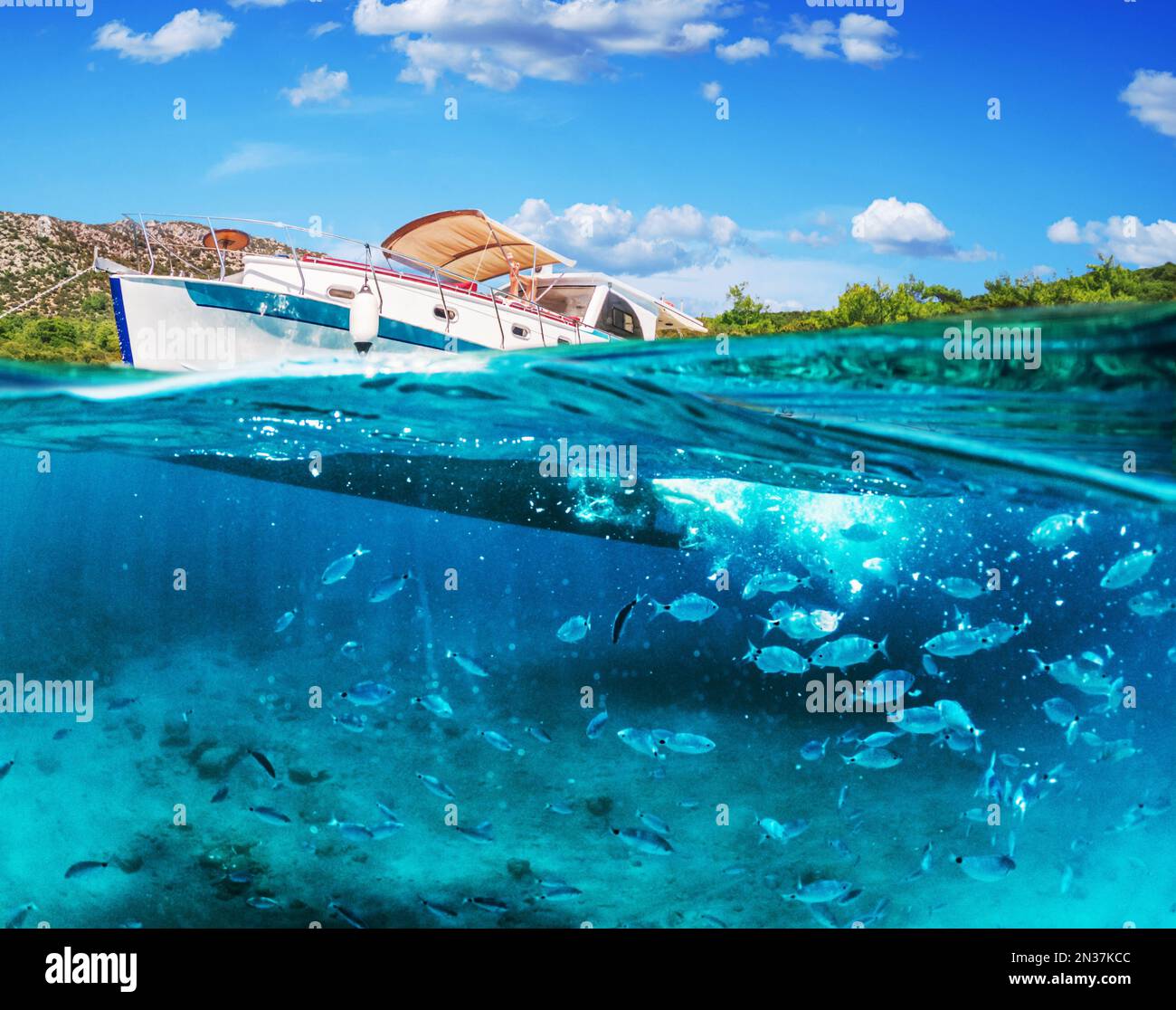 Split view - half underwater view of beautiful seabed with sea fishes ...