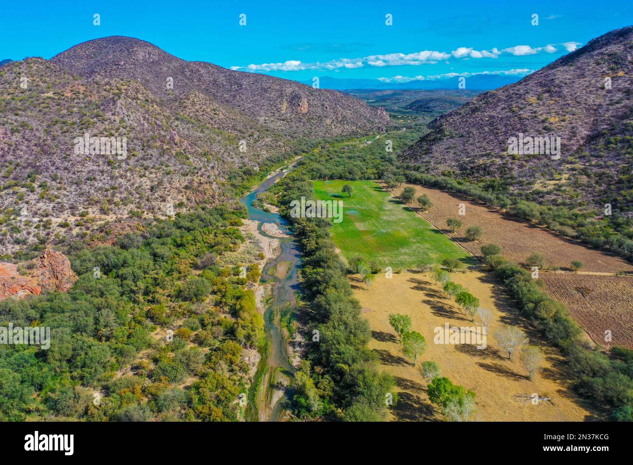 Biodiversidad de mexico hi-res stock photography and images - Alamy
