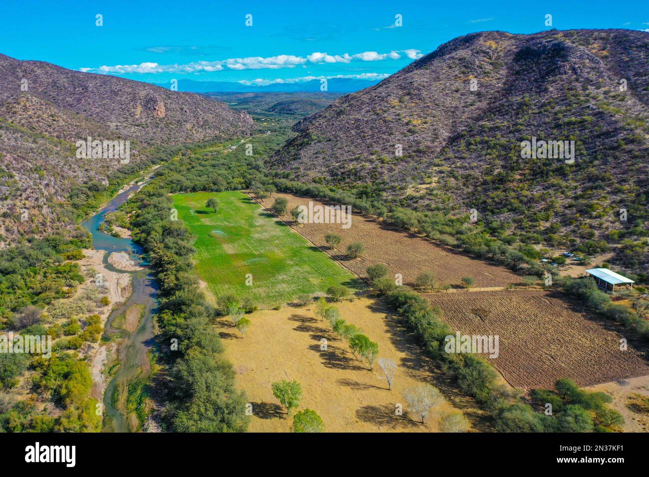 Biodiversidad de mexico hi-res stock photography and images - Alamy