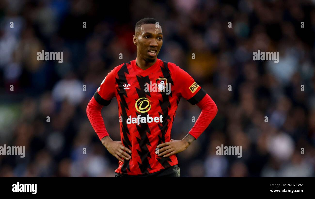 Bournemouth's Jaidon Anthony in action during the English Premier ...