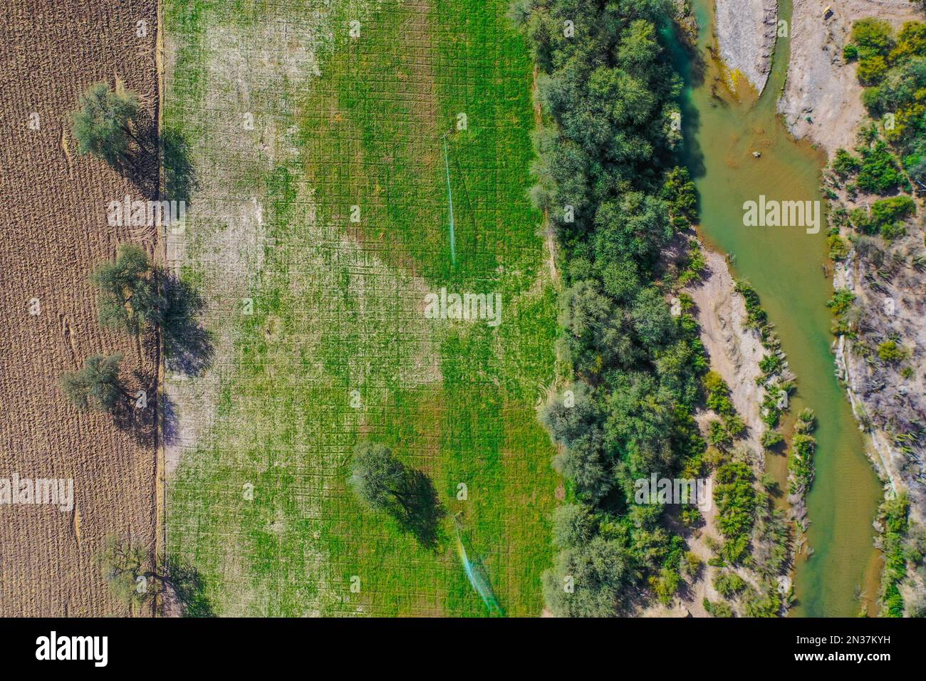 Sprinklers for irrigation of El Gavilán plot in Ures, Sonora Mexico ...