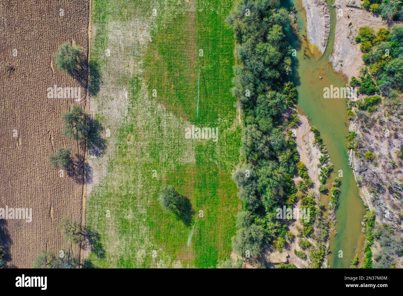 Sprinklers for irrigation of El Gavilán plot in Ures, Sonora Mexico ...