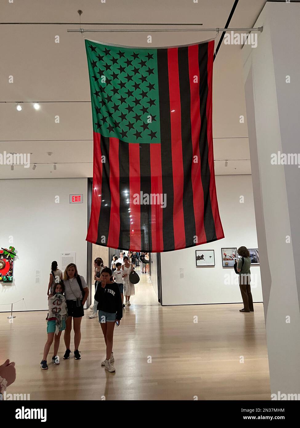 African American Flag David Hammons