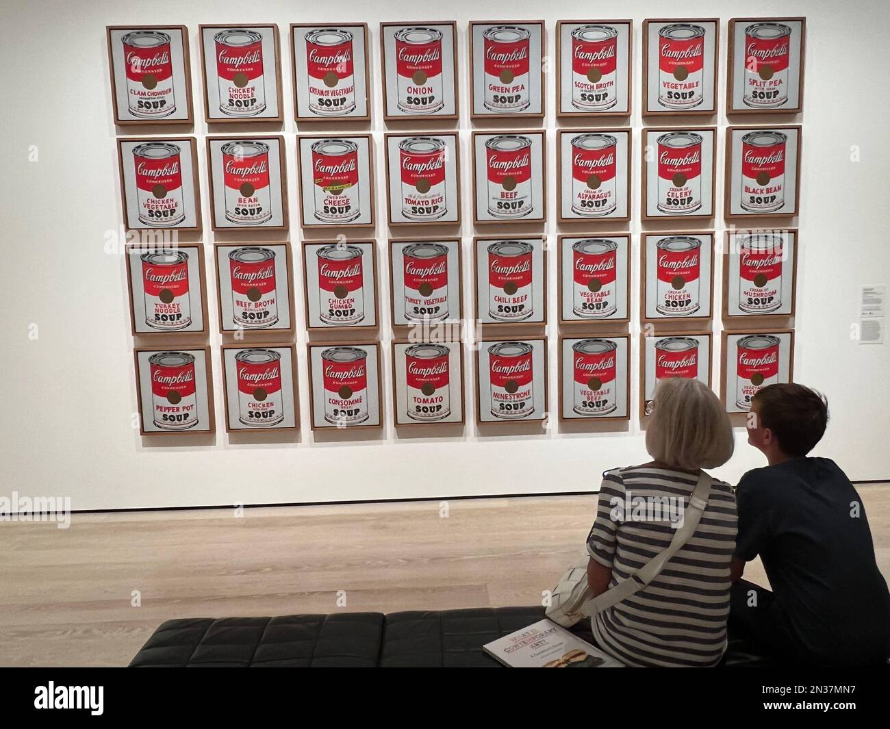 The famous Campbell's Soup Cans by Andy Warhol at the Museum of Modern ...
