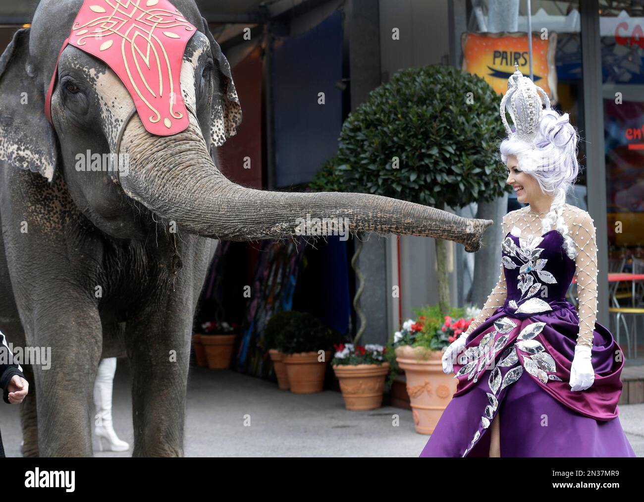 An elephant poses with a circus performer during the presentation of ...