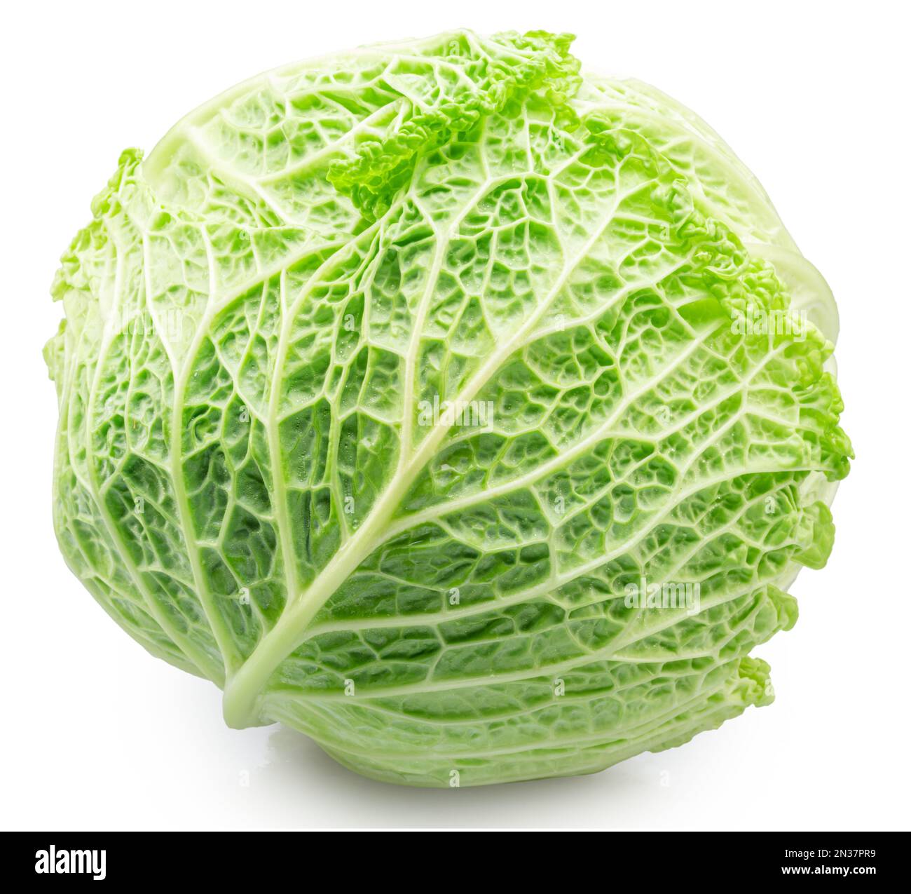 Fresh green savoy cabbage isolated on white background. File contains ...