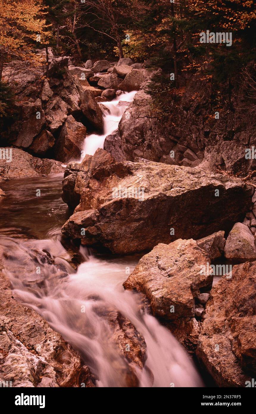 Ellis brooks hi-res stock photography and images - Alamy