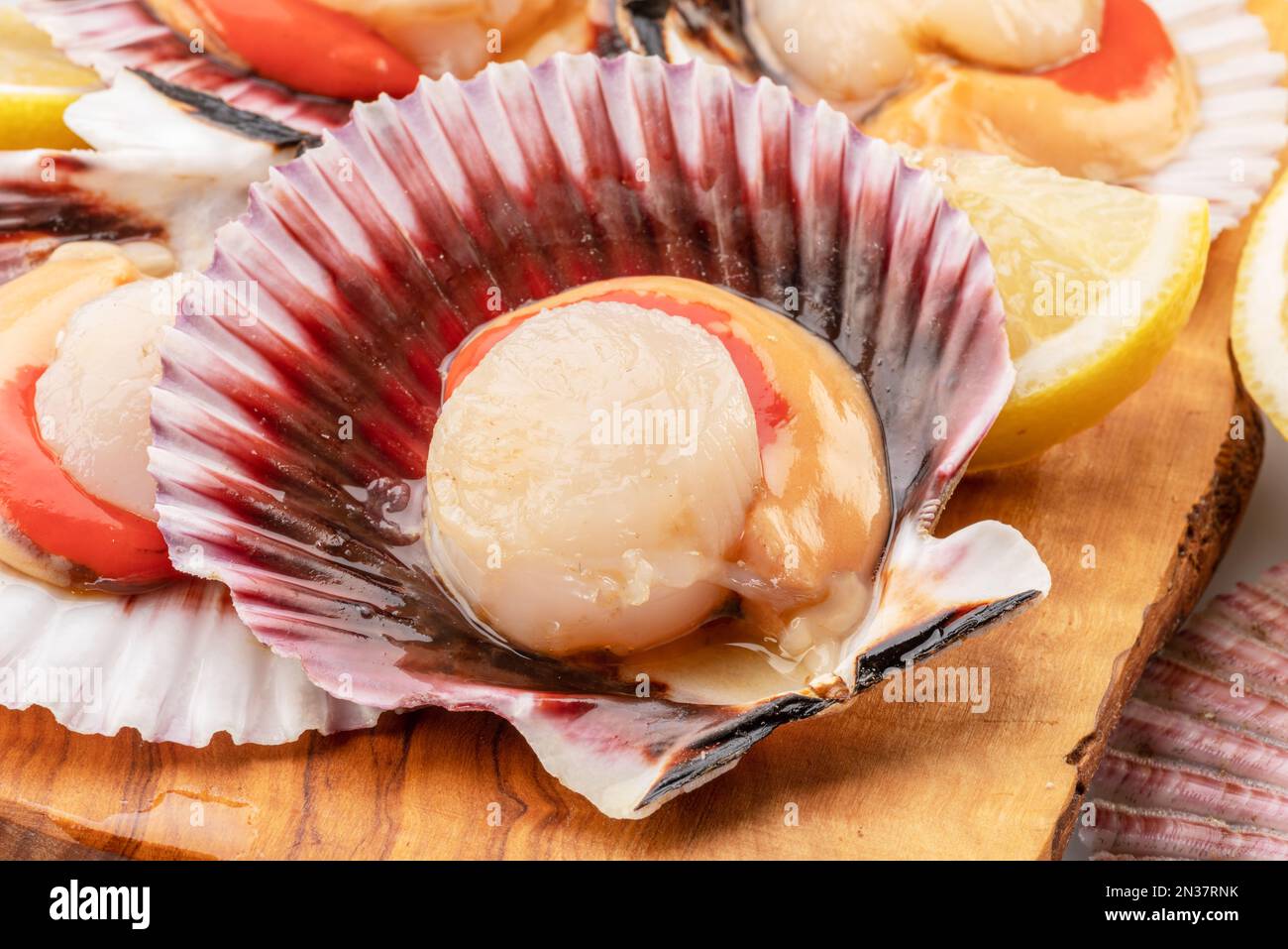 Group of fresh opened scallop with scallop roe or coral close up Stock ...