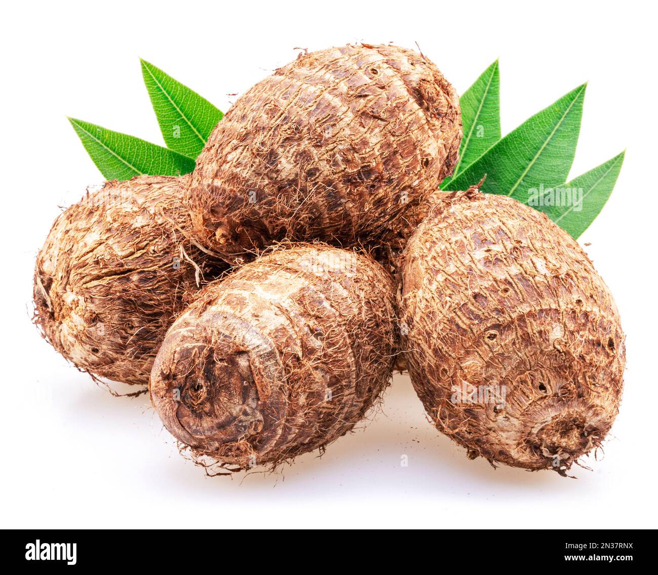 Eddoe or taro tubers with green leaves isolated on white background Stock Photo - Alamy