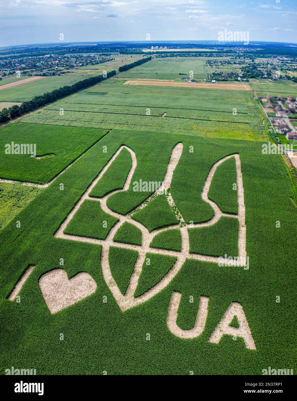 Field corn aerial kyiv ukraine hi-res stock photography and images - Alamy