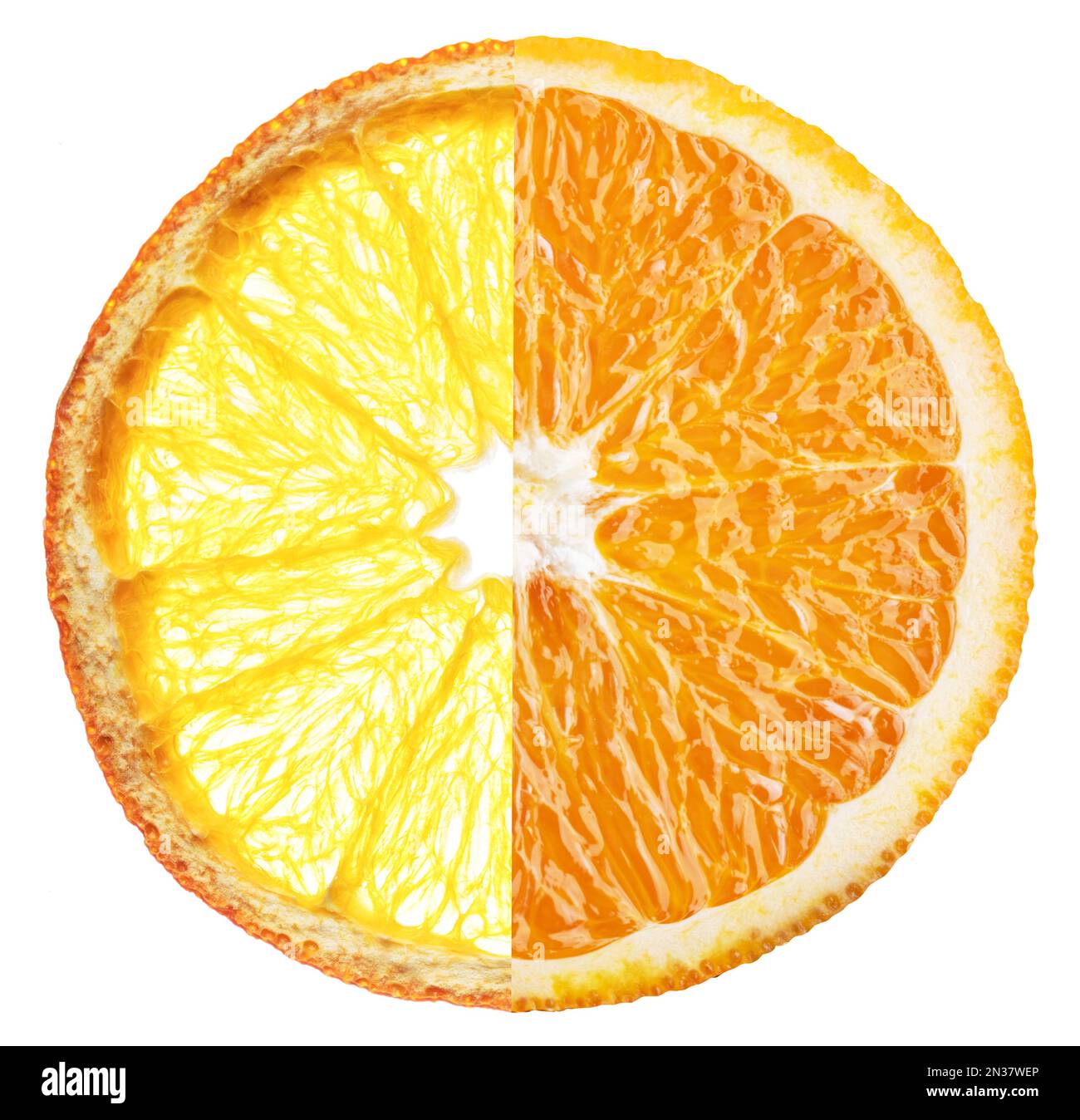 Citrus slice divided on two section dry orange and fresh orange ...