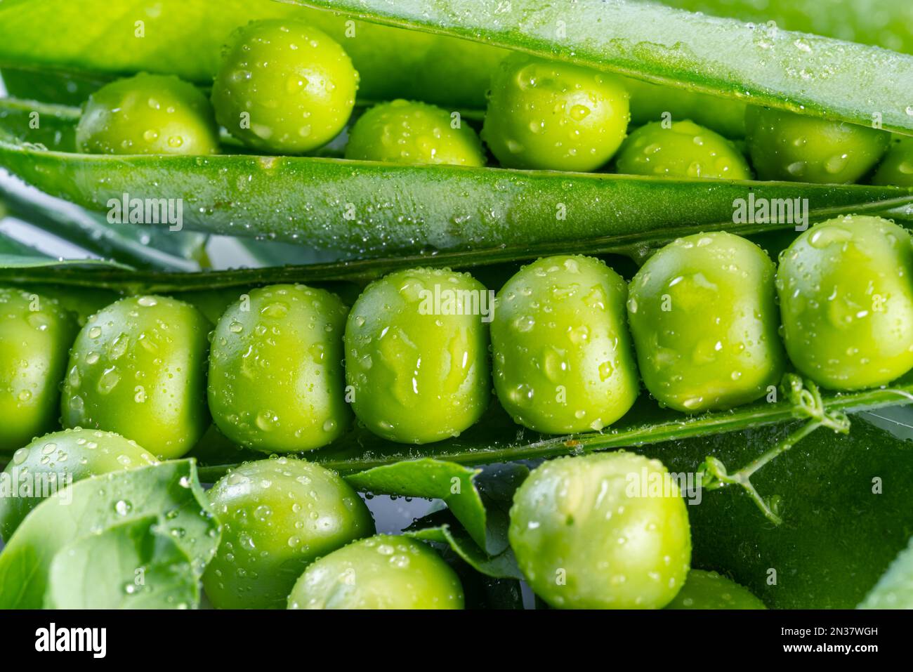 Edible water pod hi-res stock photography and images - Alamy