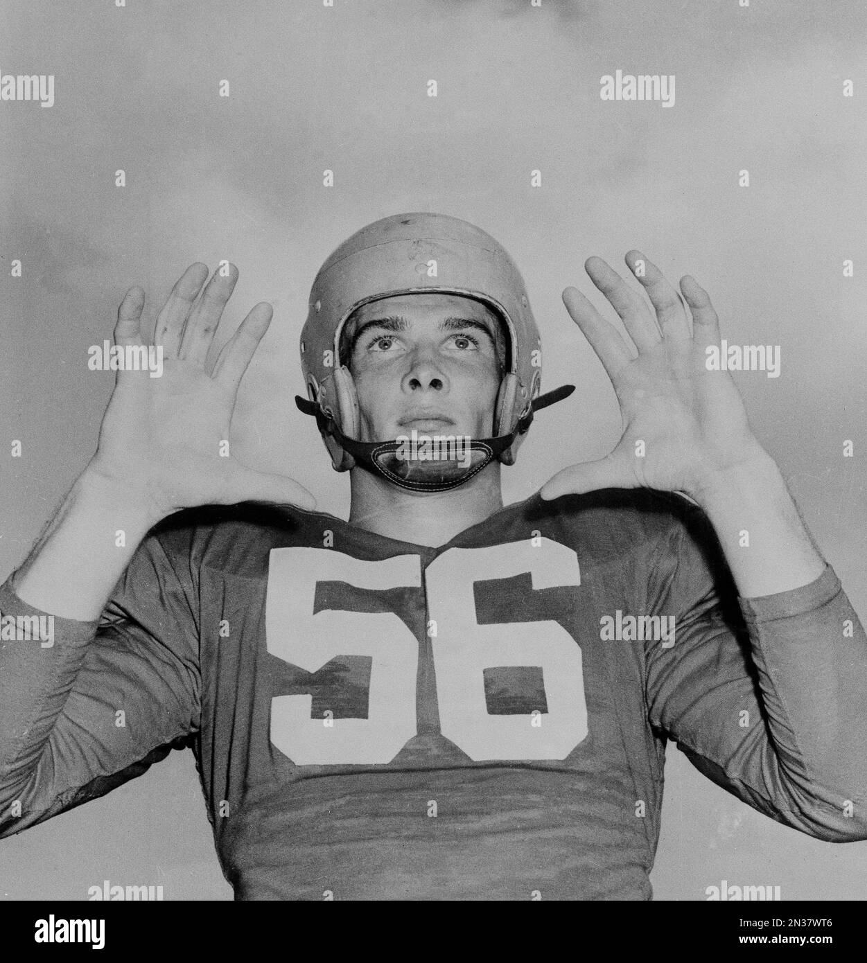 Harry Babcock, star end of the University of Georgia, was chosen by the ...