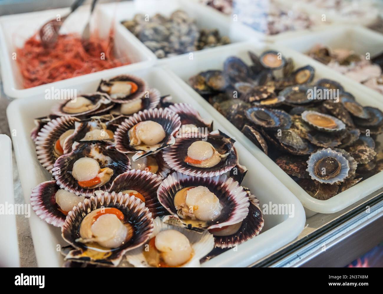 Lapas hi-res stock photography and images - Alamy