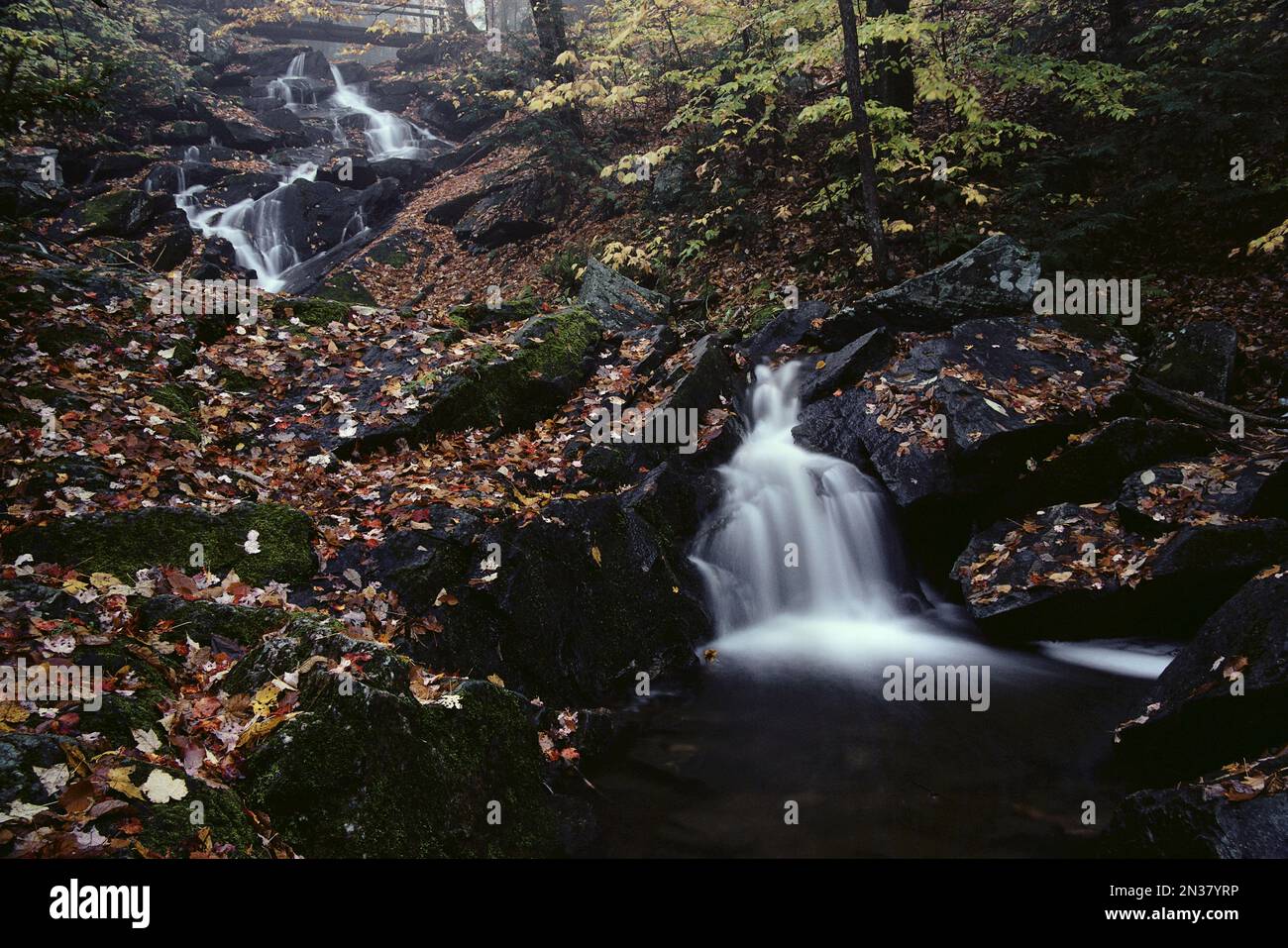 Waterfalls in Autumn Gatineau Park, Quebec, Canada Stock Photo - Alamy