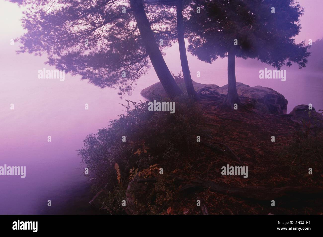 Smoke Lake at Sunrise Algonquin Provincial Park Ontario, Canada Stock ...