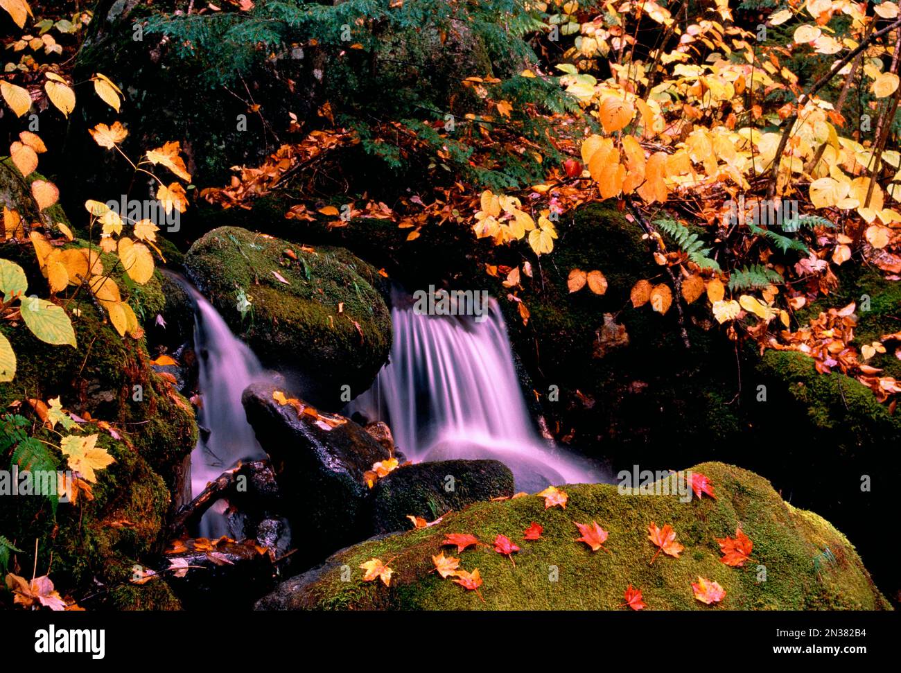 Evans notch white mountains hi-res stock photography and images - Alamy