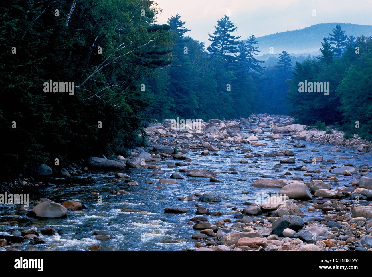 Pemigewasset River White Mountain National Forest New Hampshire, USA ...