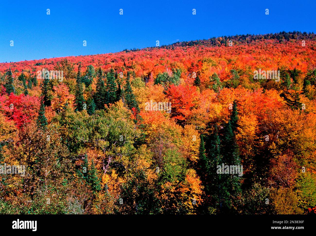 Cliff and Mountains in Autumn Dixville Notch State Park New Hampshire ...
