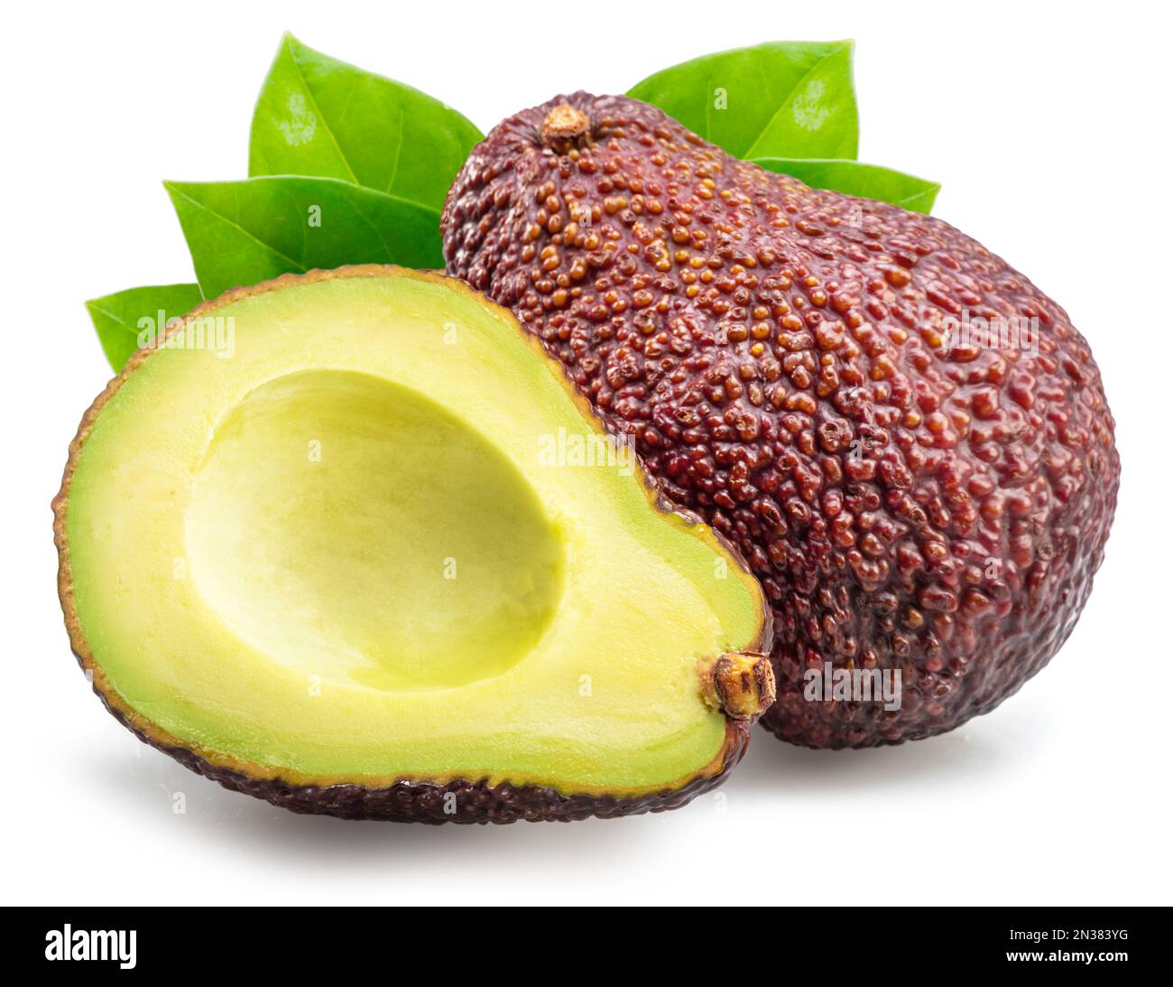 Hass avocado fruits with leaves isolated on white background Stock ...