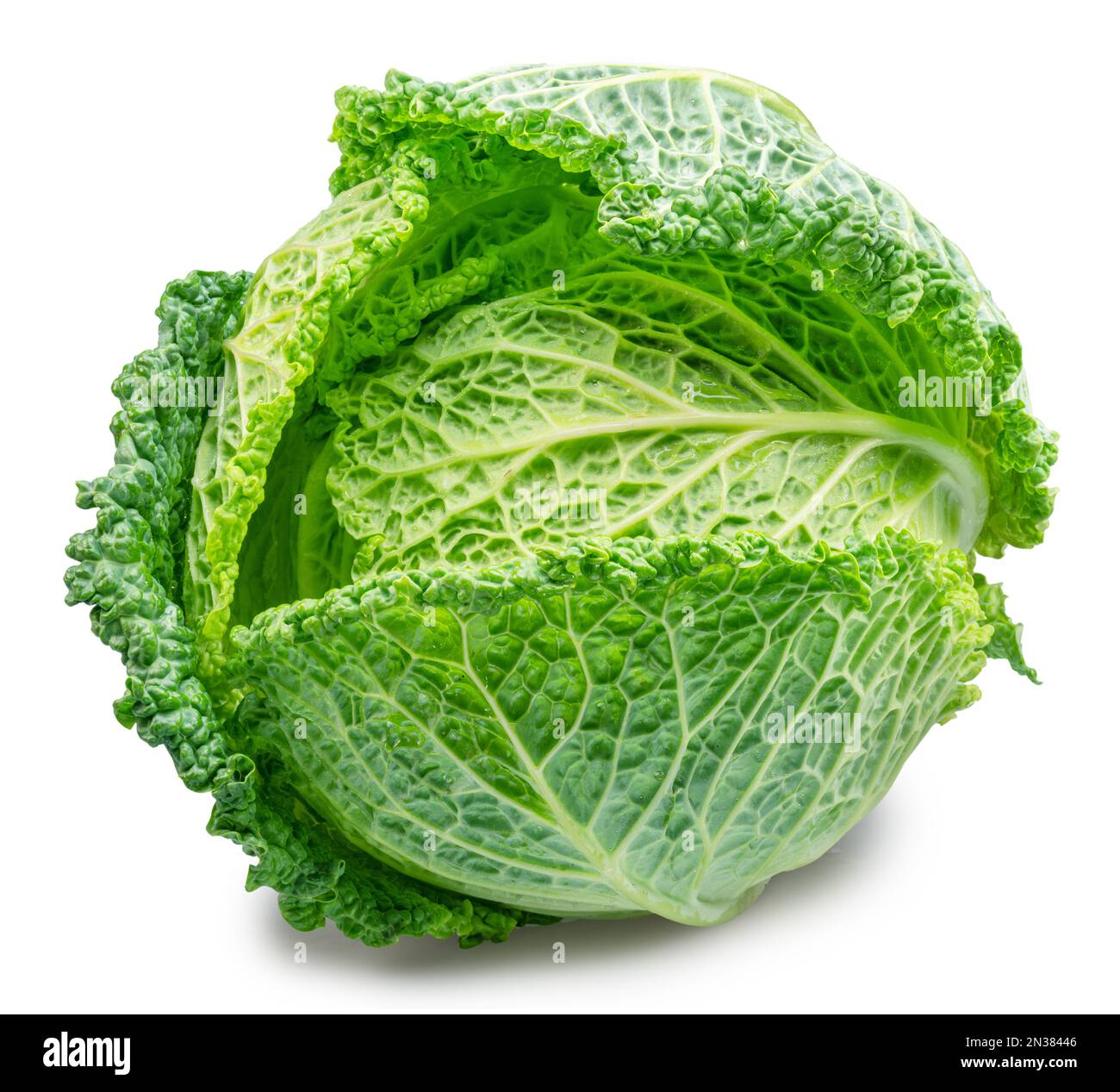 Fresh green savoy cabbage isolated on white background. File contains ...
