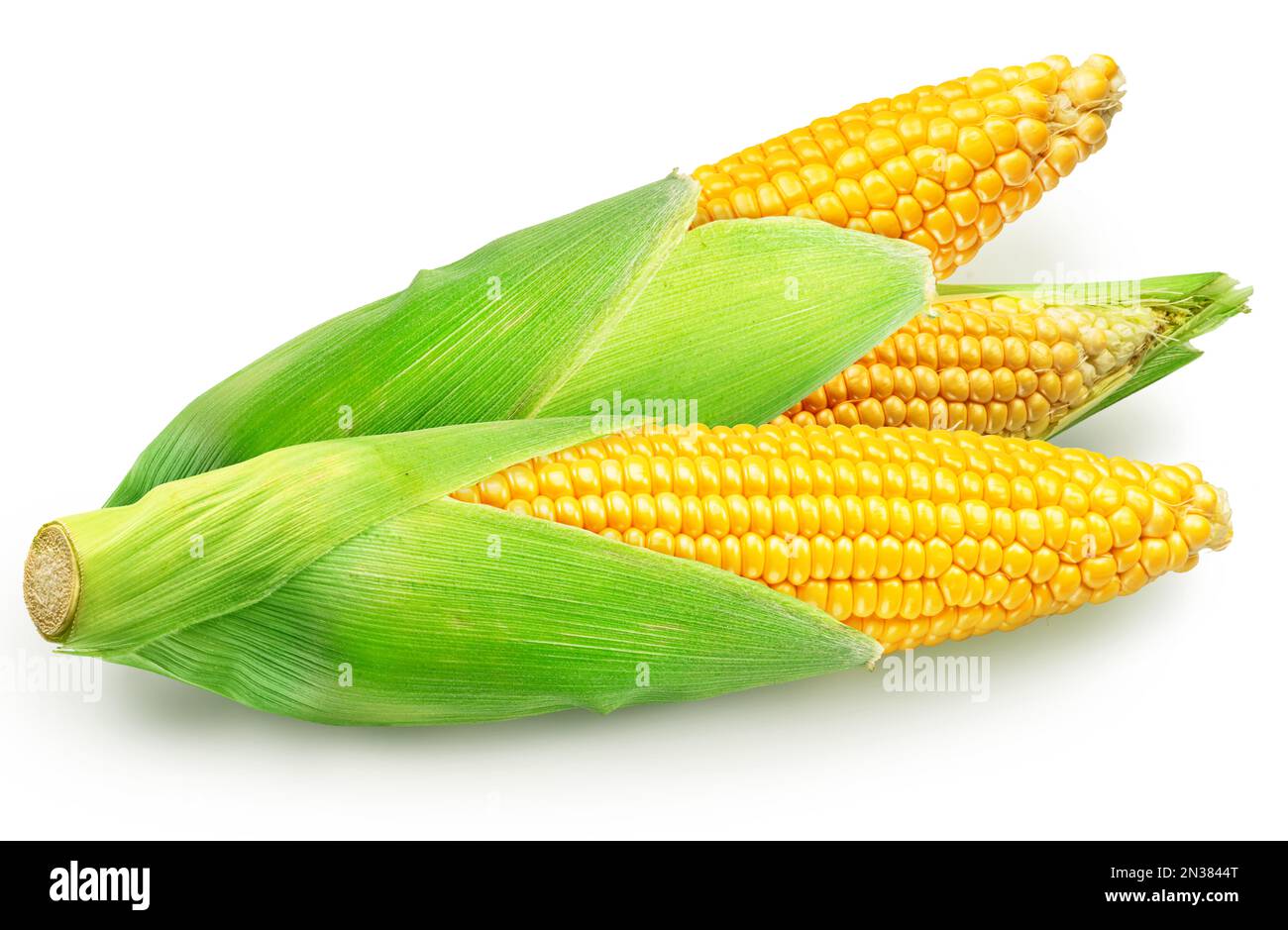 Maize cobs or corn cobs on white background. File contains clipping ...