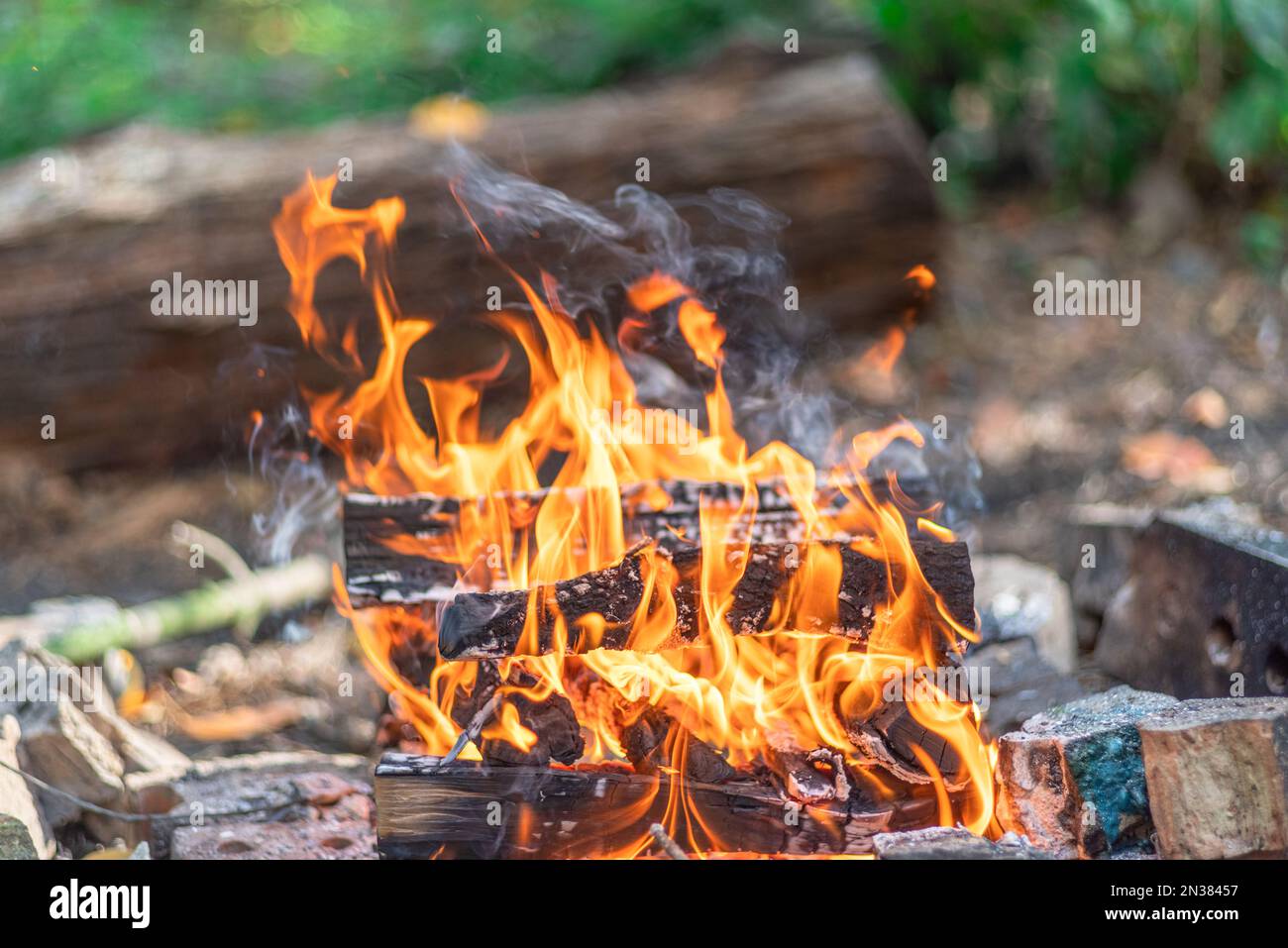 Bonfire or campfire. Orange flame of a fire at nature background Stock ...