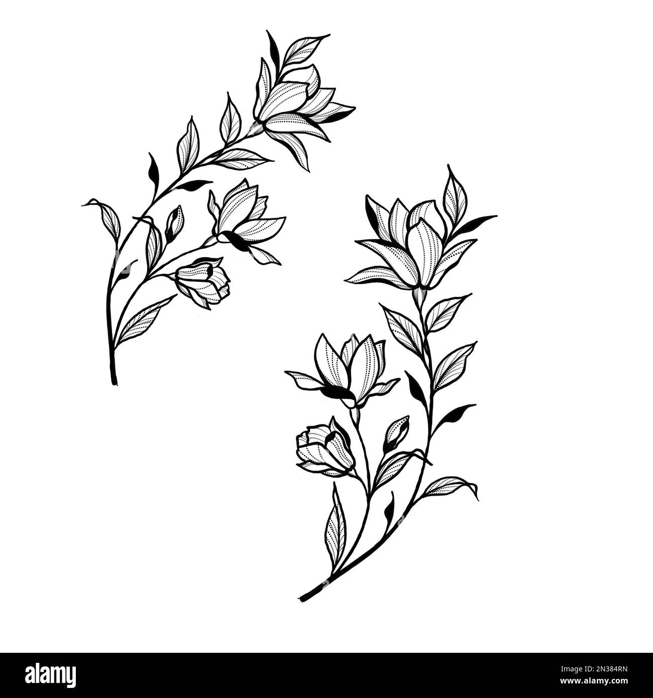Beautiful sketch of a tattoo - a delicate twig with flowers . Flowers ...